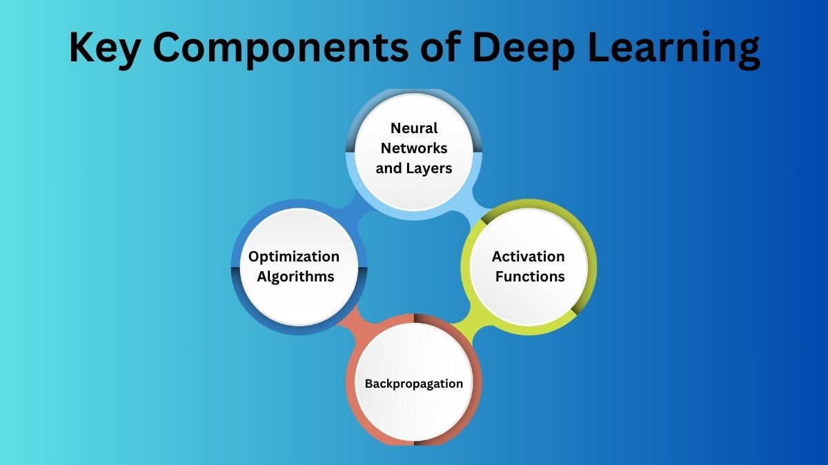 Introduction to Deep Learning in Data Science