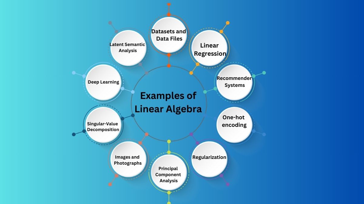 What is Linear Algebra in Machine Learning