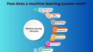 The Complete Life Cycle of Machine Learning