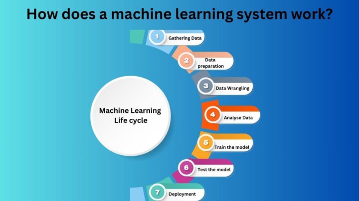 The Complete Life Cycle of Machine Learning