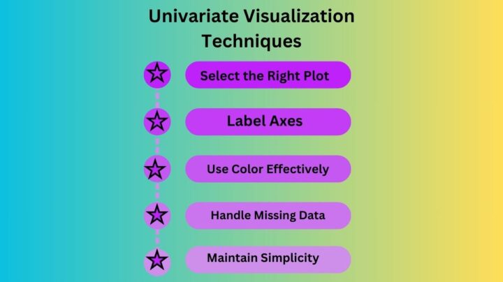Univariate Visualization: A Guide to Analyzing Data