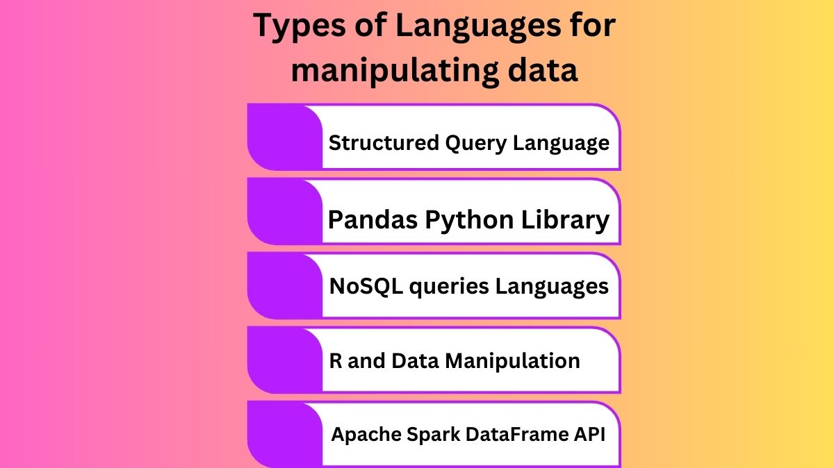 Data Manipulation Languages: Key to Data Science Insights