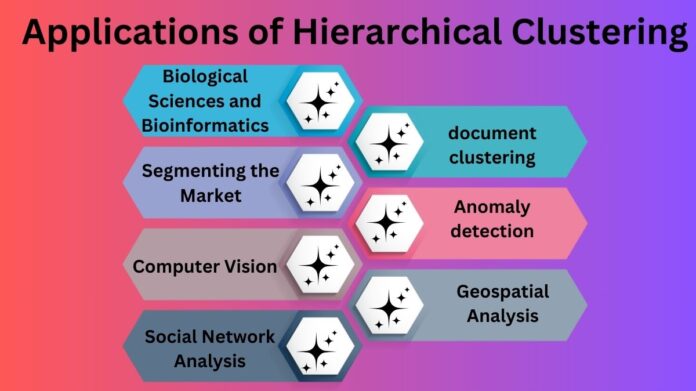 A Complete Guide to Applications of Hierarchical Clustering