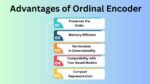 What is Ordinal Encoder in the field of Machine Learning