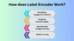 What is Label Encoding in the field of Machine Learning?