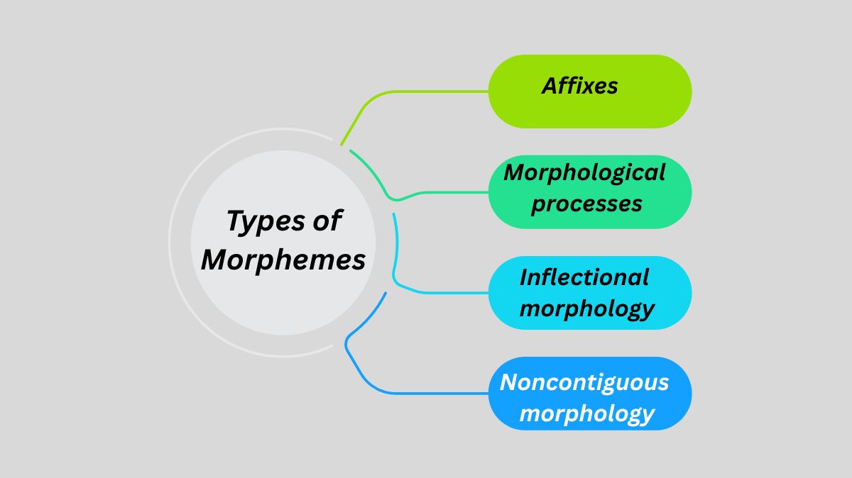 Types Of Morphemes: Prefixes, Suffixes And More in NLP