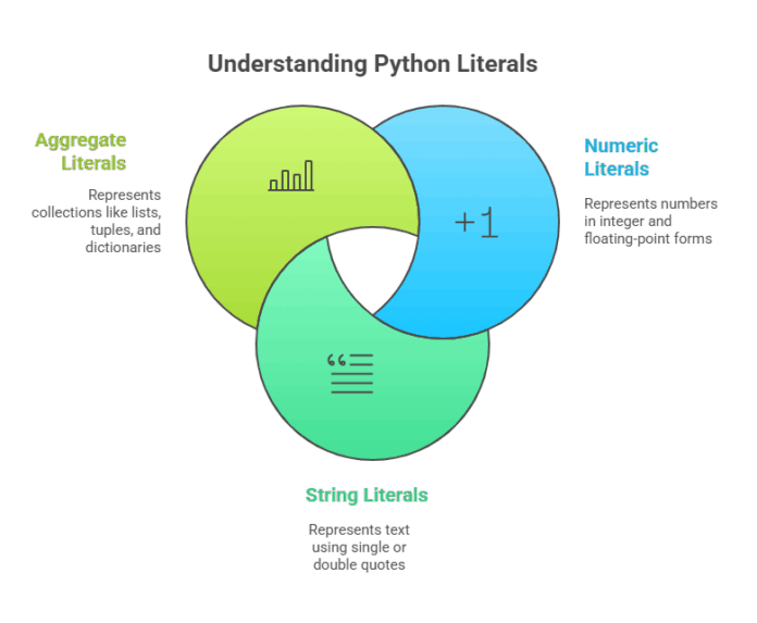 Understanding Literals in Python With Code Example