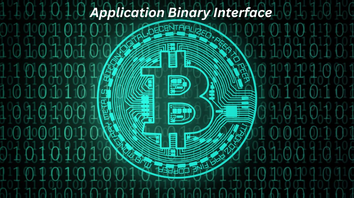 ABI Application Binary Interface Software Interoperability