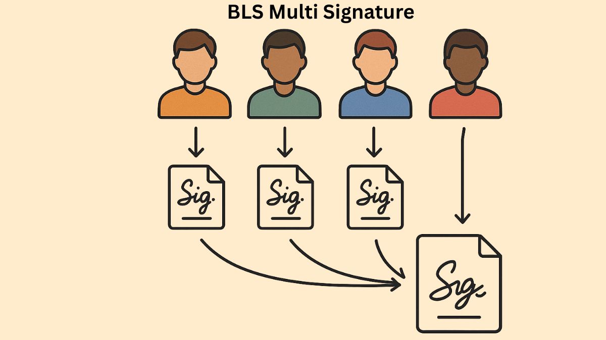 BLS Multi Signature In Blockchain And Crypto Applications