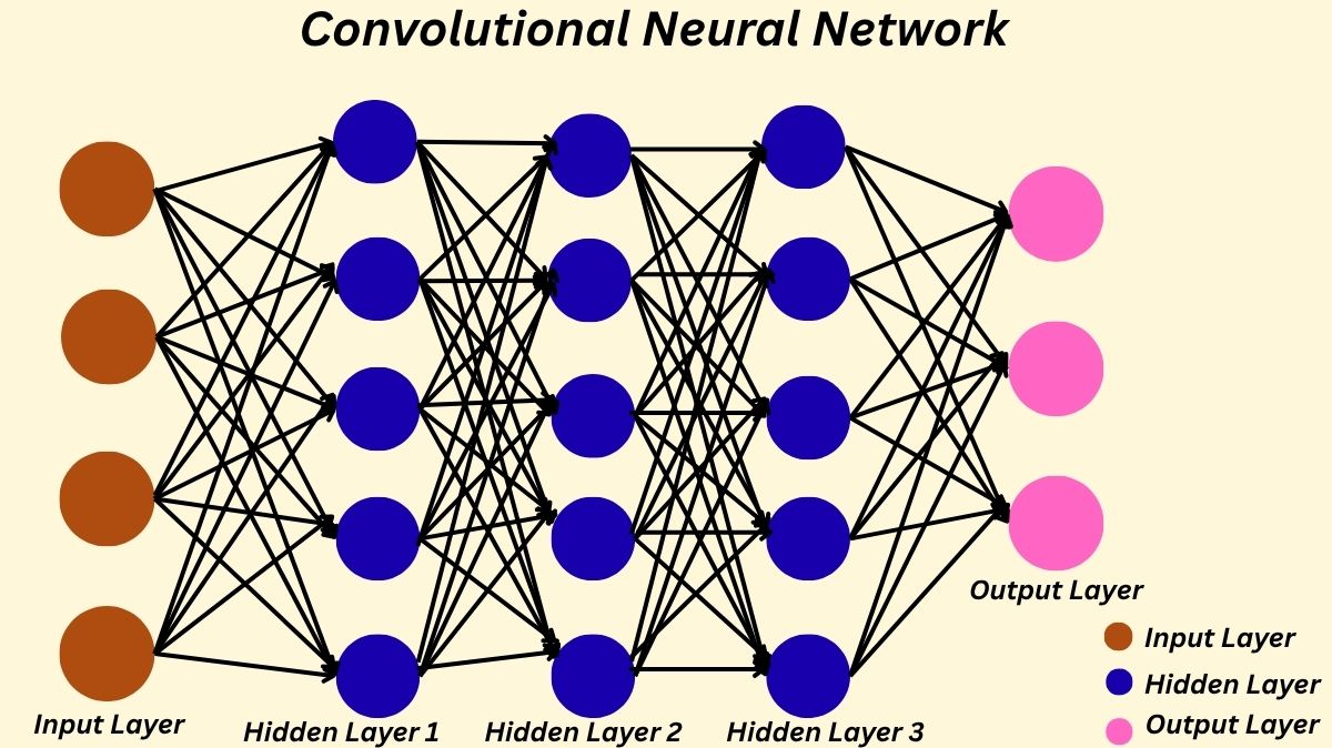 Convolutional Neural Networks Architecture and Advantages