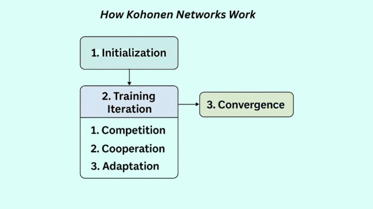 Kohonen Networks and its Structure and Architecture