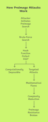 Preimage Attacks: What is it, How it Works, And Applications