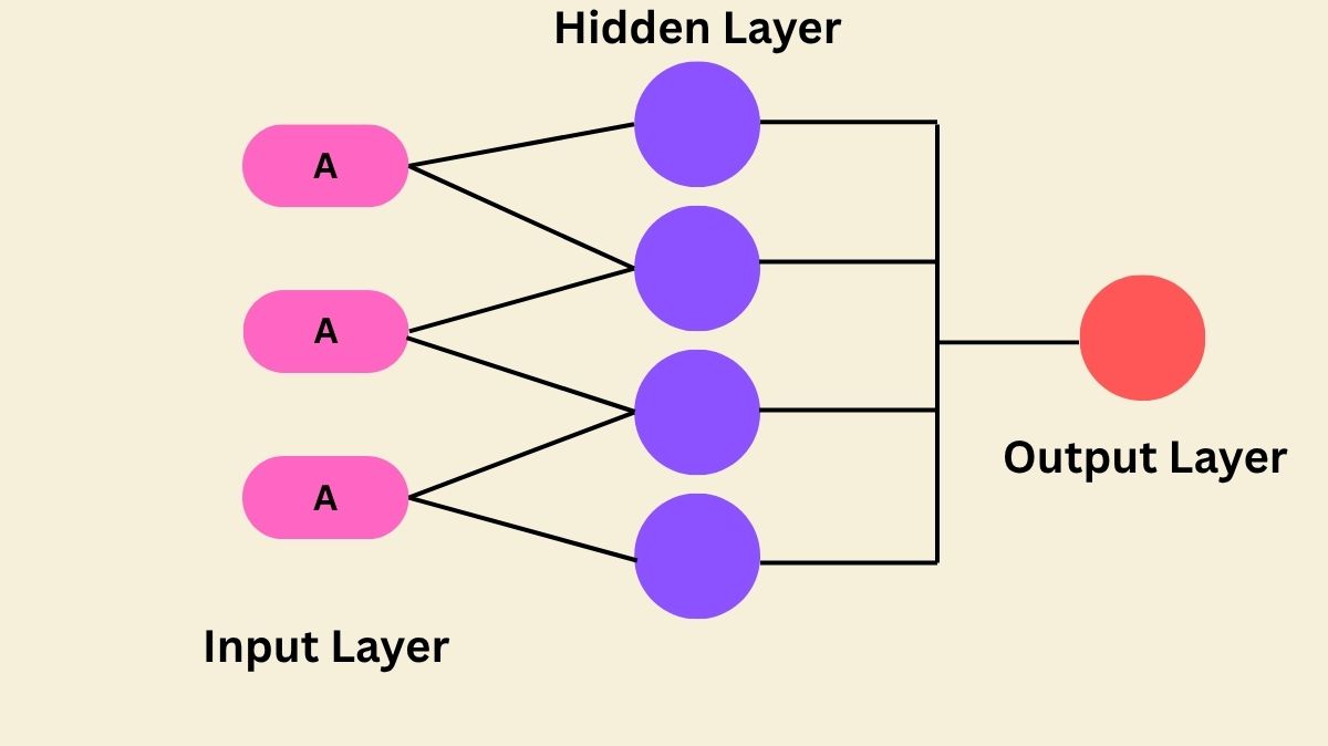 What are the Radial Basis Function Networks?