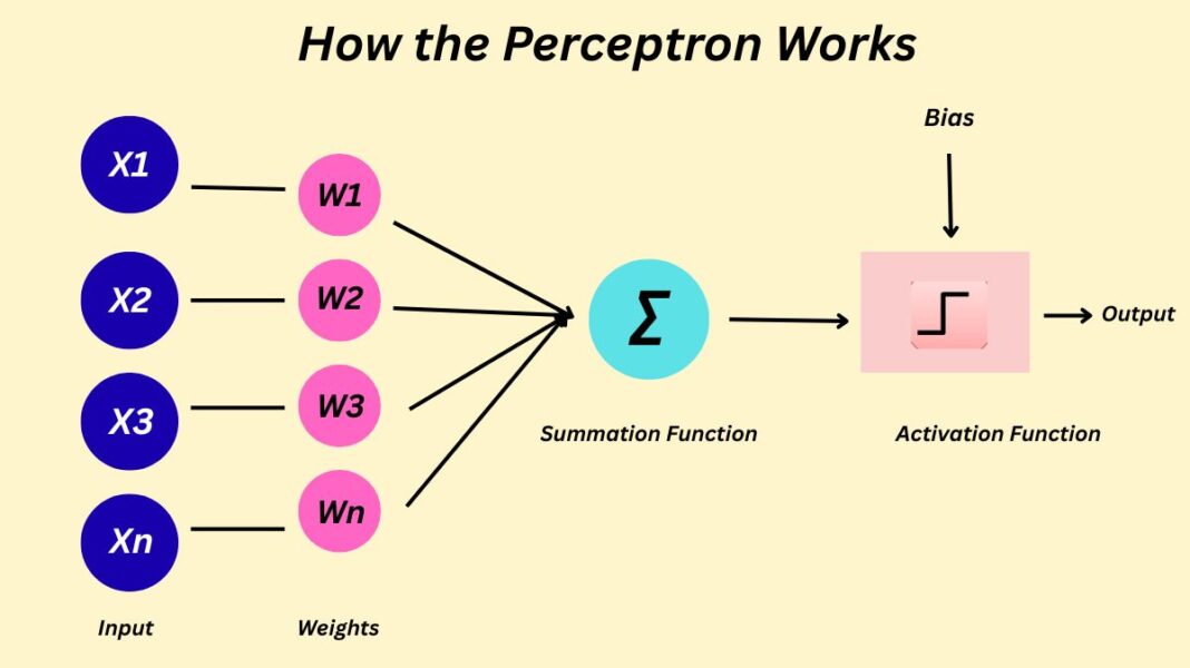 What is Perceptron? and Perceptron assumptions
