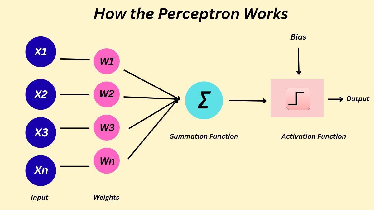 What is Perceptron? and Perceptron assumptions