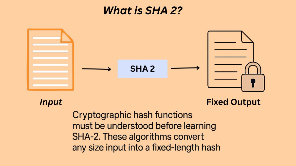 What Is SHA 2, Applications, Advantages And Disadvantages
