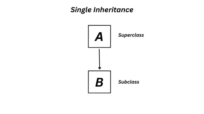 What Are The Inheritance In C# With Code Examples?