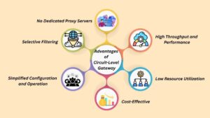 What is Circuit-Level Gateway, How It Works, and Advantages
