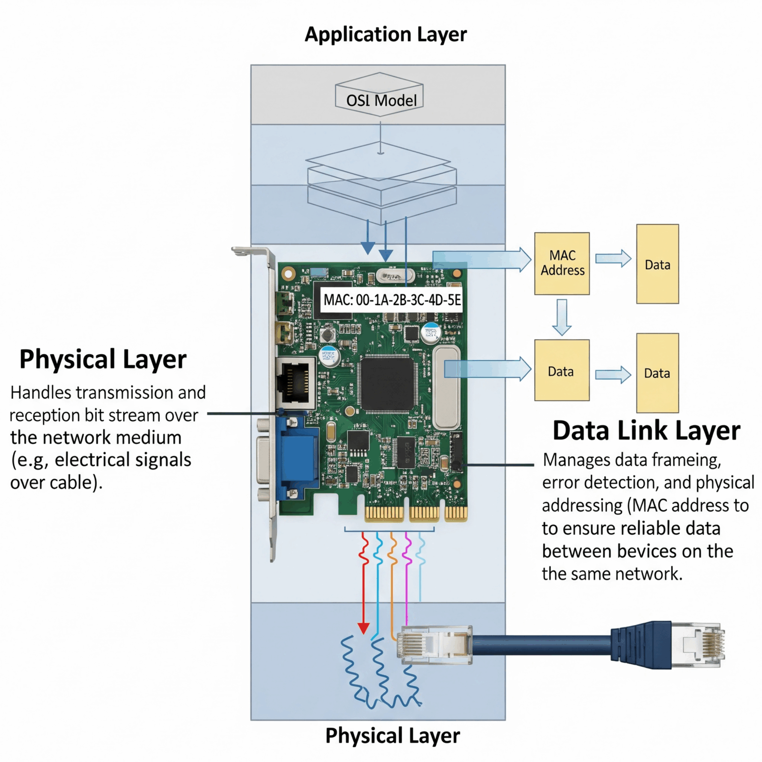 What Are Network Interface Cards? And Different Types Of NIC