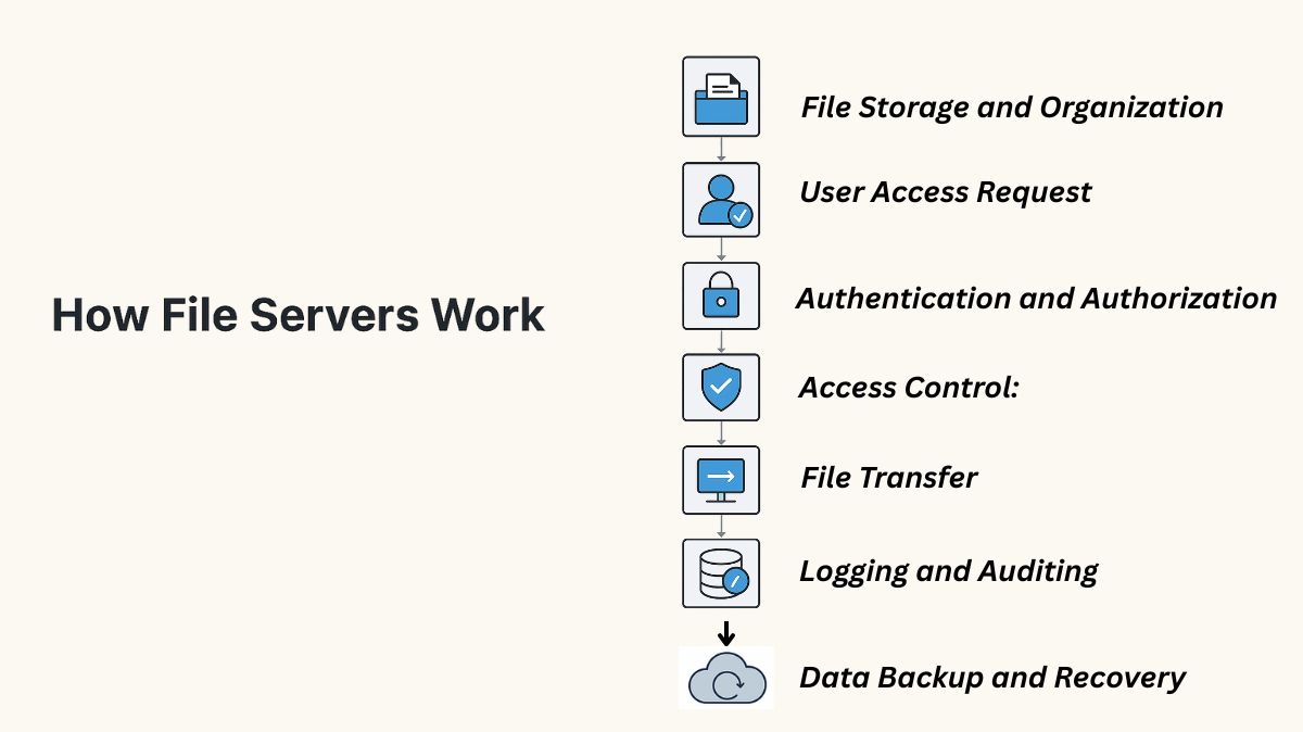Advantages Of A File Server And How Do File Servers Works