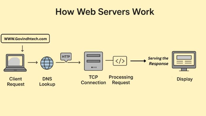 What Are The Different Types Of Web Servers And How It Works