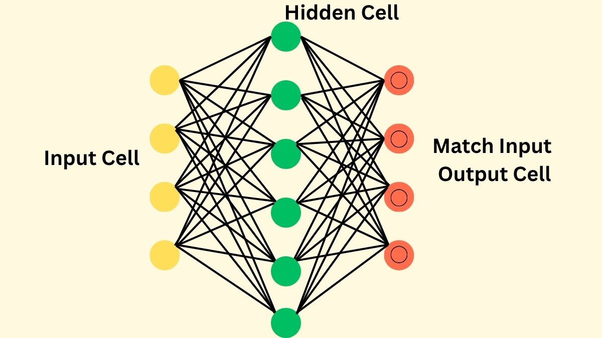 What are Sparse AutoEncoders, And architecture, advantages