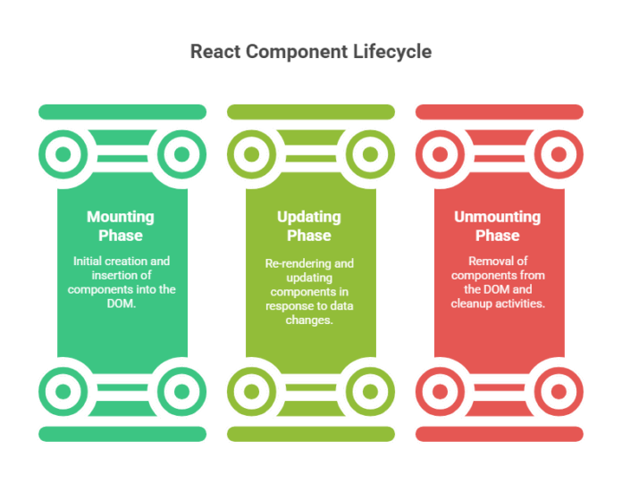 What Are The LifeCycle Component In React.js With Example