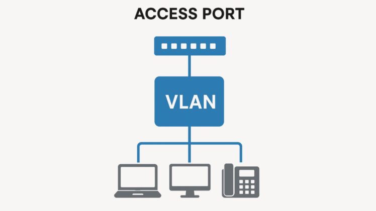 Access Port vs Trunk Port And Access Port Disadvantages