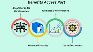 Access Port vs Trunk Port And Access Port Disadvantages