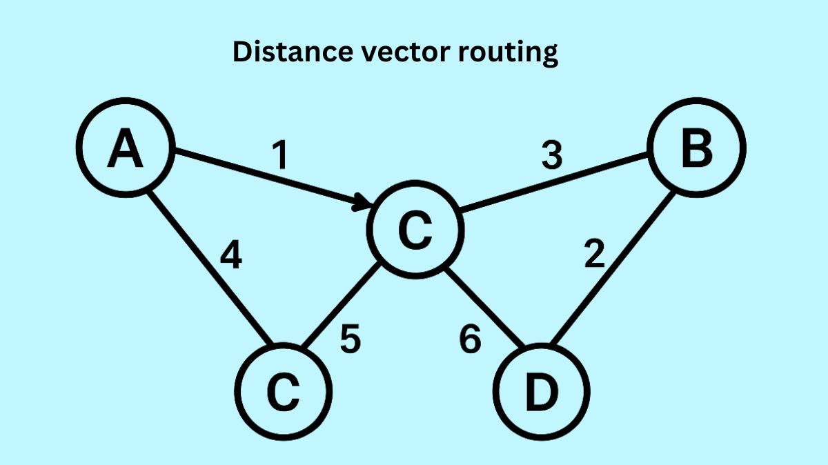 How Does Distance Vector Routing Work And Examples