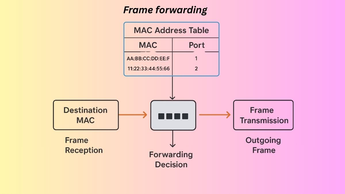 What is Frame Forwarding and Frame Forwarding Methods