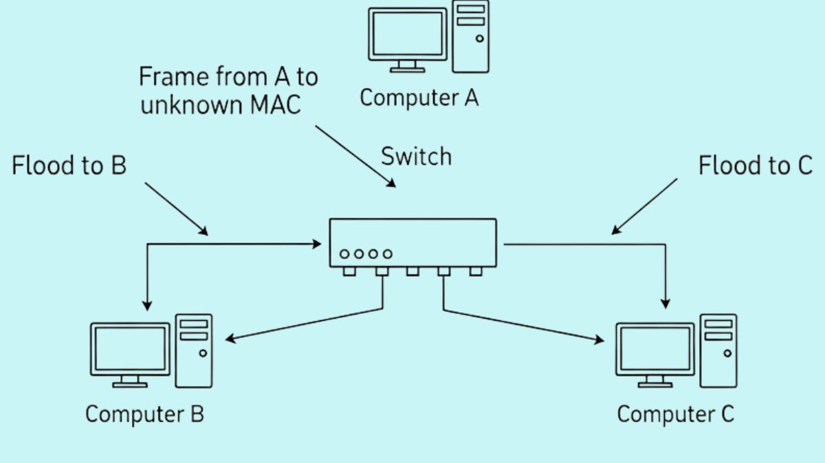 What Is Frame Flooding? How Switches Learn And Forward Data