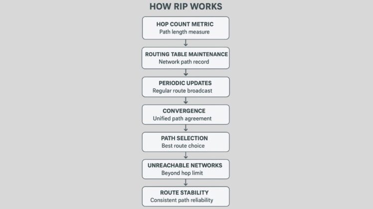 Advantages Of Routing Information Protocol And How RIP Works