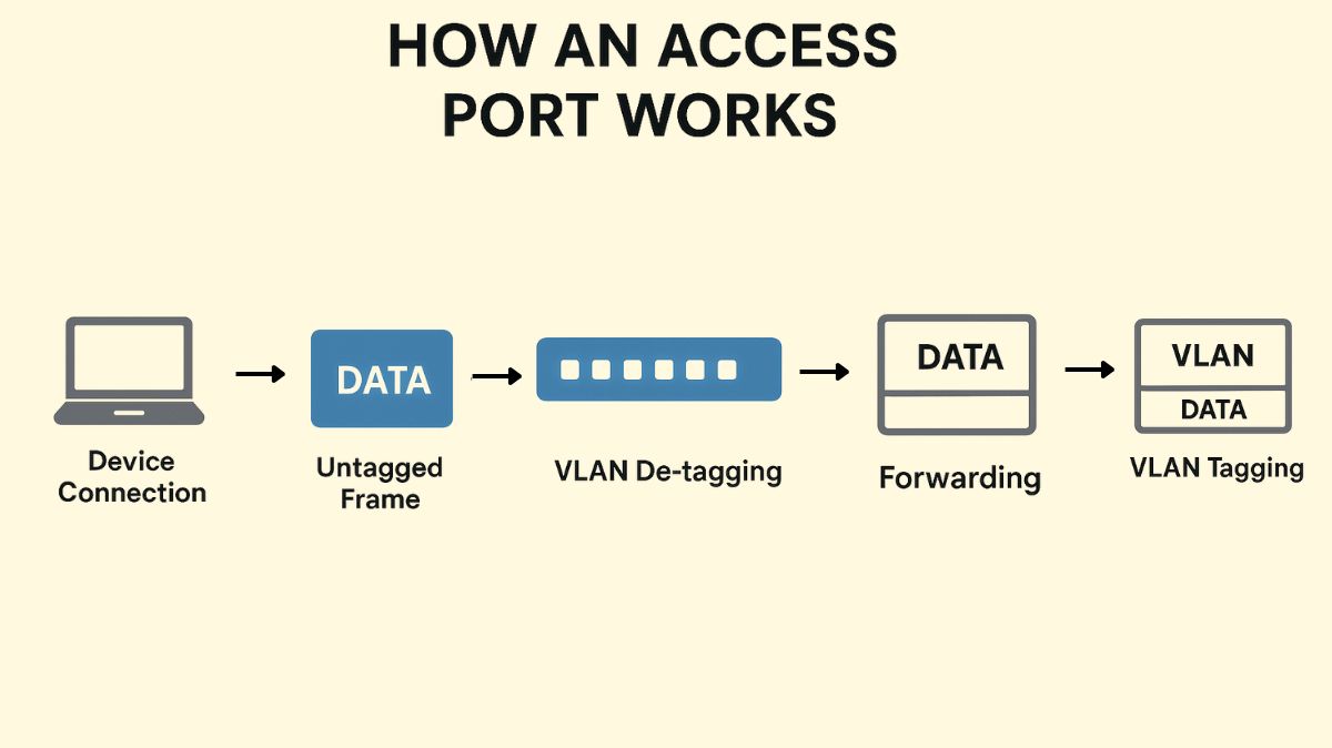 Access Port vs Trunk Port And Access Port Disadvantages