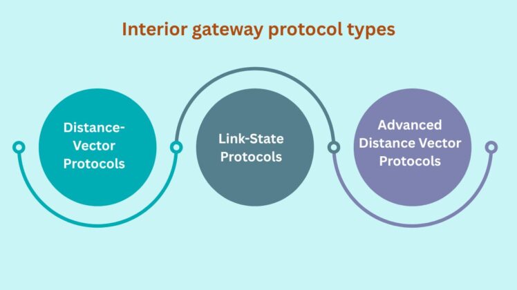 IGP Interior Gateway Protocol Types, Purpose, And Features