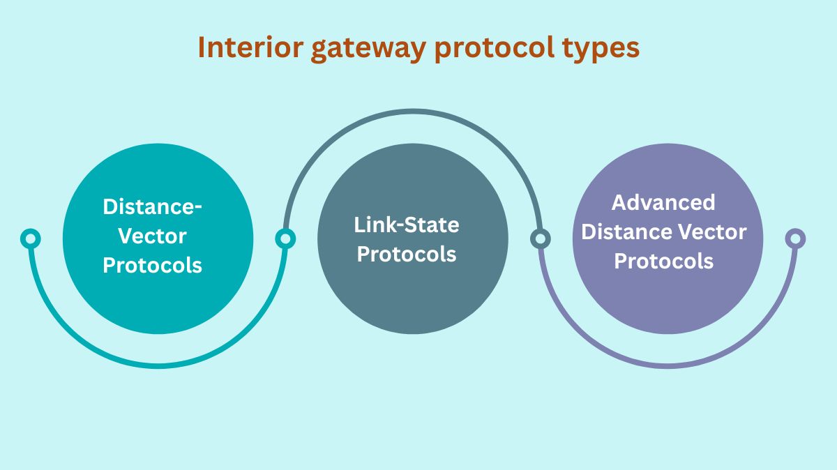 IGP Interior Gateway Protocol Types, Purpose, And Features