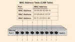 MAC Address Tables In Switch For Network Data Forwarding