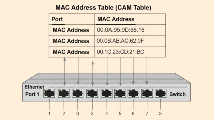 MAC Address Tables In Switch For Network Data Forwarding