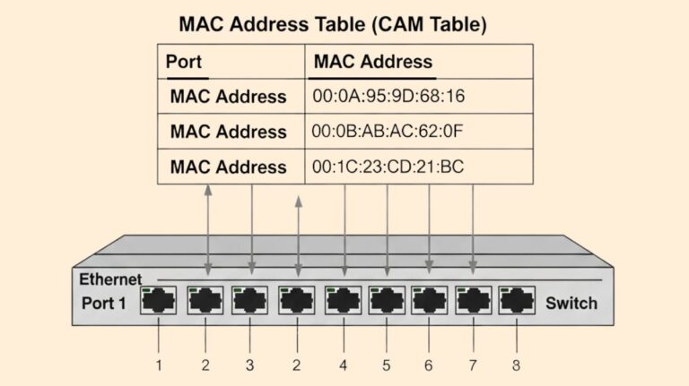 MAC Address Tables In Switch For Network Data Forwarding