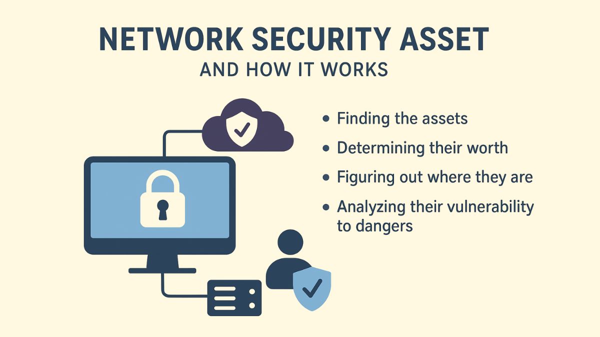 Why Network Security Assets Is Important & Its Applications