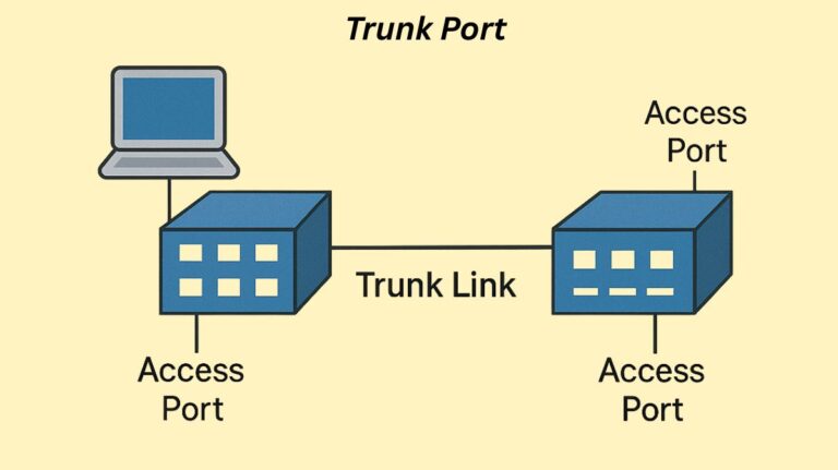 What is Trunk Port, How it Works, Benefits, and Use Cases