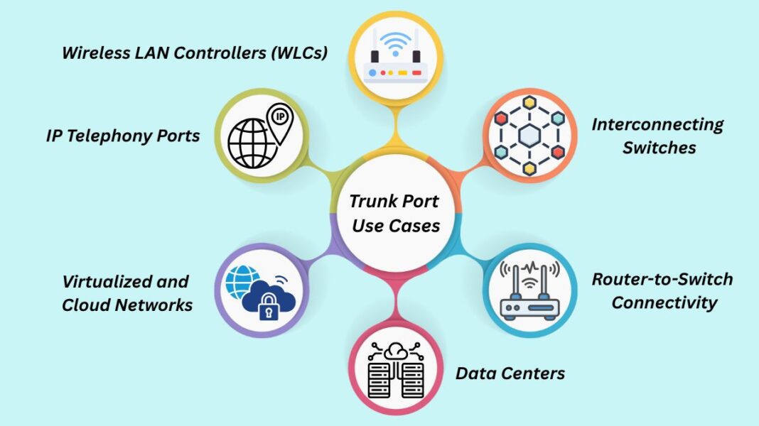 What is Trunk Port, How it Works, Benefits, and Use Cases