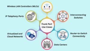 What is Trunk Port, How it Works, Benefits, and Use Cases