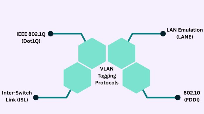 What Is VLAN Tagging Cisco? An Introduction To IEEE 802.1Q
