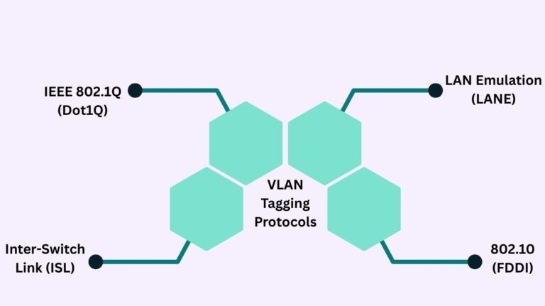 What Is VLAN Tagging Cisco? An Introduction To IEEE 802.1Q