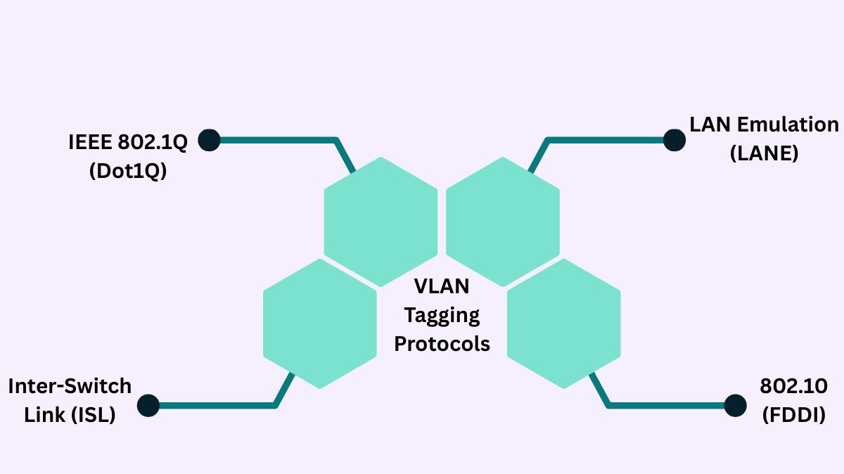 What Is VLAN Tagging Cisco? An Introduction To IEEE 802.1Q