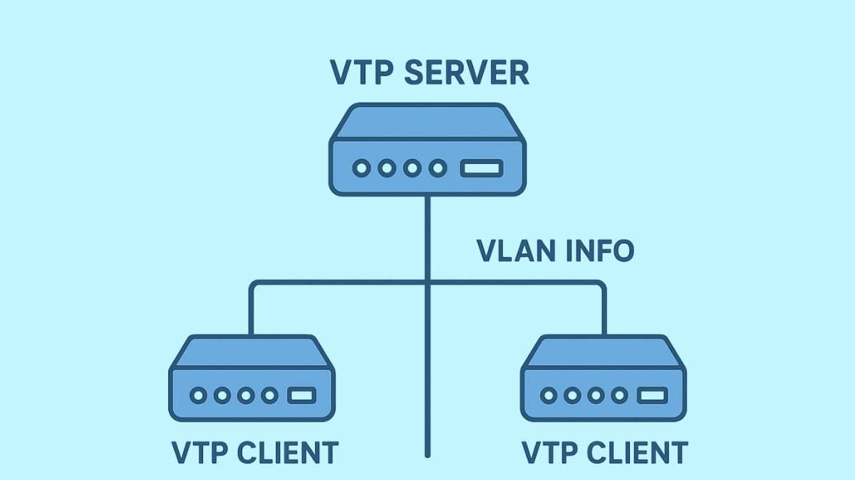 What Does The VLAN Trunk Protocol VTP Do? VTP Versions
