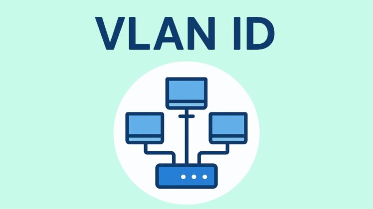 What is a VLAN ID? How it works, and VLAN ID Importance