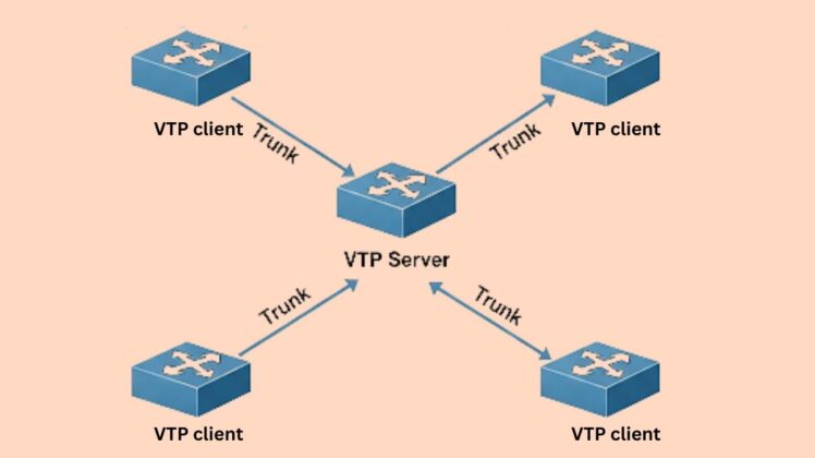 What Does The VLAN Trunk Protocol VTP Do? VTP Versions