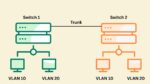 What Is VLAN Trunking? How It Works, Advantages & Protocols